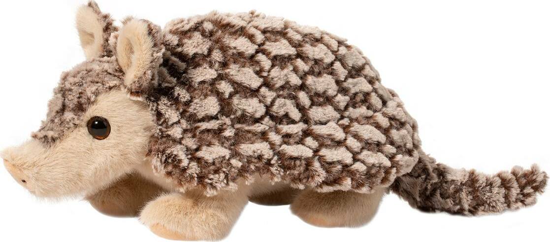 Austin Armadillo | Bayou Kids
